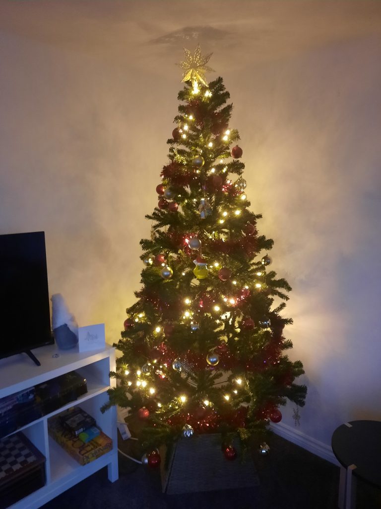 O' Christmas Tree... » Next Step Independence